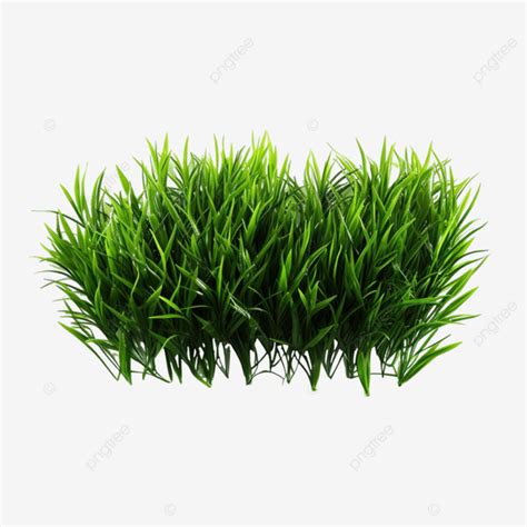 잔디 푸른 잔디 Png 잔디 Png 잔디 녹색 풀 Png 일러스트 및 이미지 에 대한 무료 다운로드 Pngtree