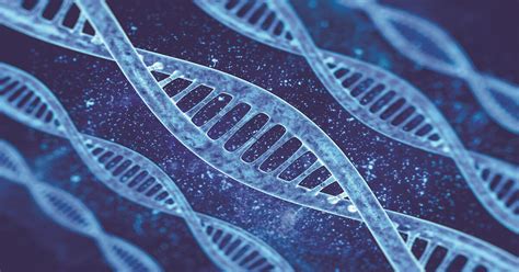 Michelle Hwang On Linkedin Comparison Of Bigdye Terminator V31 Cycle