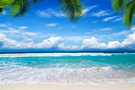 Background Full Hd 1080p Wallpaper Beach Tropics Sea