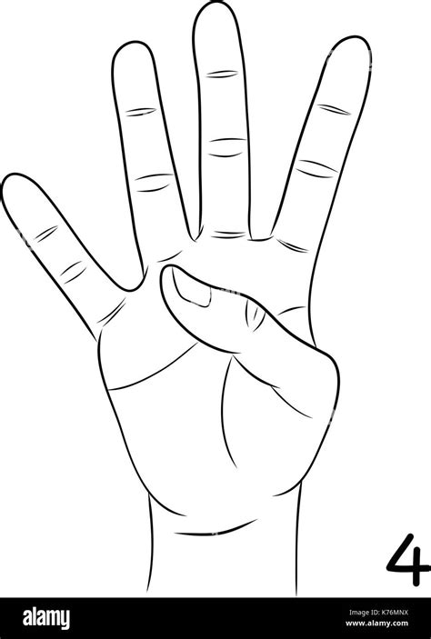 Sign Language Number 4 Stock Vector Image And Art Alamy
