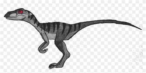 Jurassic Park 3 Velociraptor Drawing
