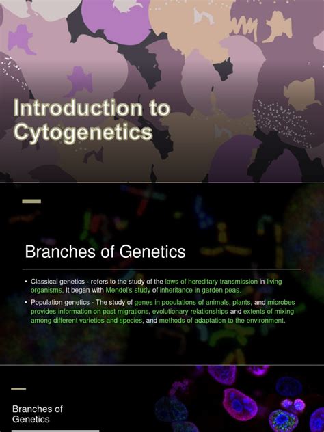Introduction To Cytogenetics Pdf Dna Gene