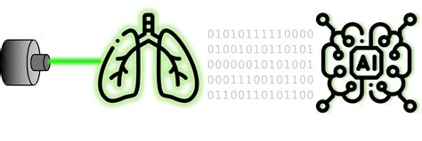 lung cancer detection through ai driven spectroscopy cic nanogune