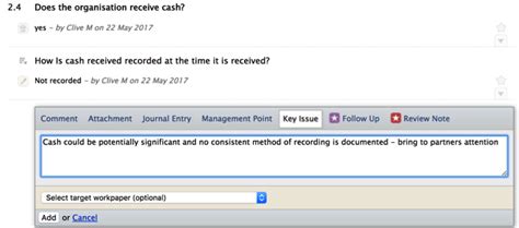 adding a key issue audit assistant support