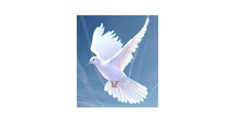 Freda Grist Obituary 1922 2014 Legacy Remembers