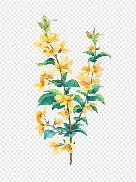 Pintado A Mano De Carteles De Flores Amarillas Amarillo Flores Pintadas A Mano Png PNGEgg