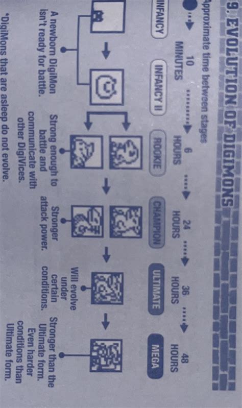 Time Line For Digivolution R Digimon
