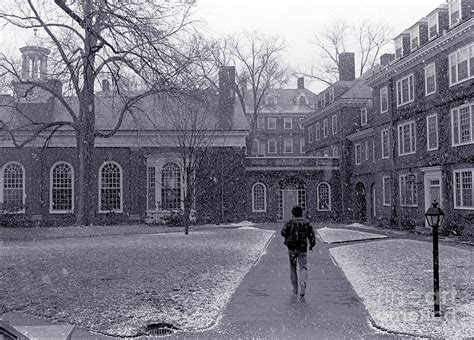 Transferring To An Ivy League College Ivy College Essay
