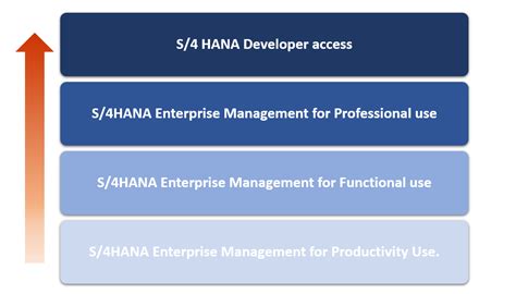 SAP Licensing Inprosec