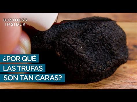 Las Setas Más Caras Y Codiciadas Del Mundo 【al Detalle】
