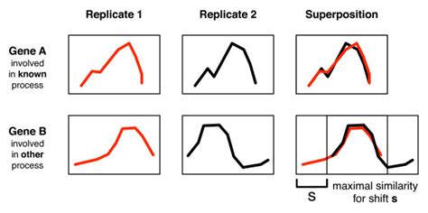We Search For Time Scale Separation In Microarray Expression Data By