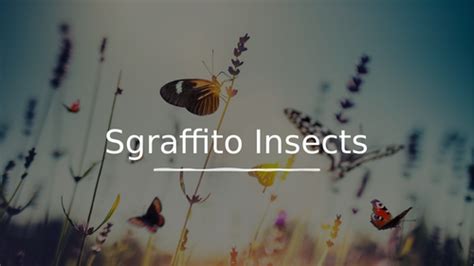 A Simple Sgraffito Pastel Activity Using Insects Teaching Resources