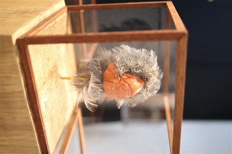 Angélique De Chabot Aepyornis For Sale At 1stdibs