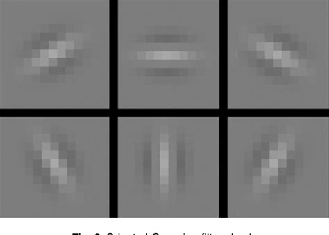 figure 1 from rotation invariant feature lines transform for image