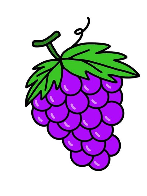 葡萄简笔画简单又可爱简单又好看（推荐19张） 简笔画图片大全