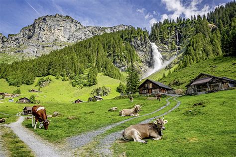 Schweizer Foto Almanach 2024 Kalender Shop
