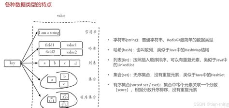 技术栈3：redis数据库入门 csdn博客