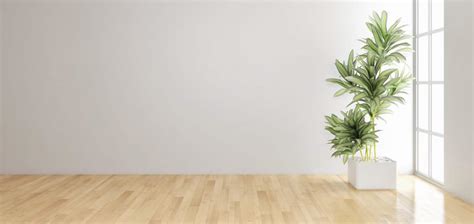 Best Polyurethane For Heart Pine Floors At Randy Eubanks Blog