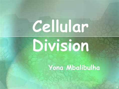 Mitosis And Meiosis Cell Division Pptx