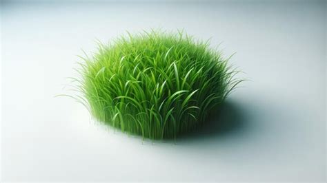 Premium Photo Minimalistic Design With Vibrant Grass On White