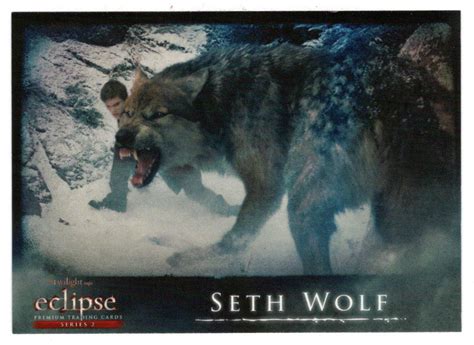 Twilight Seth Wolf