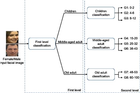 Two Level Age Classification Process Download Scientific Diagram