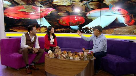 ӨНӨӨ ӨГЛӨӨ Мөөгний тухай 8 р сард бүх төрлийн мөөг болсон байдаг Энэ үед хүмүүс мөөгийг