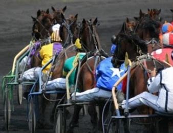 La dernière minute de Zone Turf pour le Quinté du jour le n 4 Jotunn