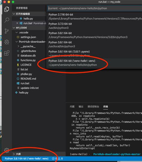 Python版本管理 Python版本管理