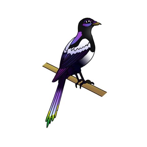 How To Draw A Magpie Step By Step Easy Drawing Guides Drawing Howtos