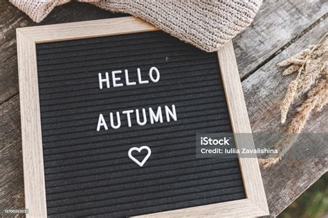 가을 배경 텍스트 문구 안녕하세요 가을과 나무 팔롱크에 누워 건조 식물검은 편지 보드 상단 보기 플랫 레이 추수 감사절 배너 Hygge 기분 추운 날씨 개념 10월에 대한