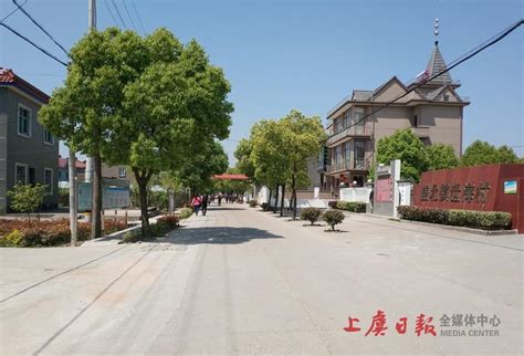 上虞盖北镇 摘葡萄 夜市 大山谷图库
