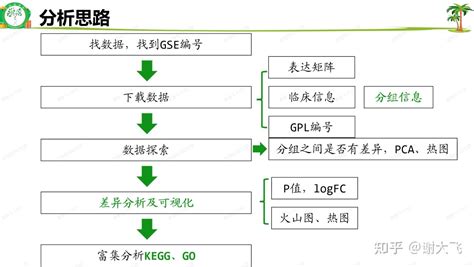 Geo桃蹭分挑澎爷心 知乎