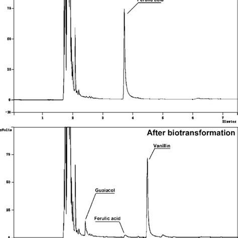 Properties Of Macroporous Adsorbent Resins Download Table