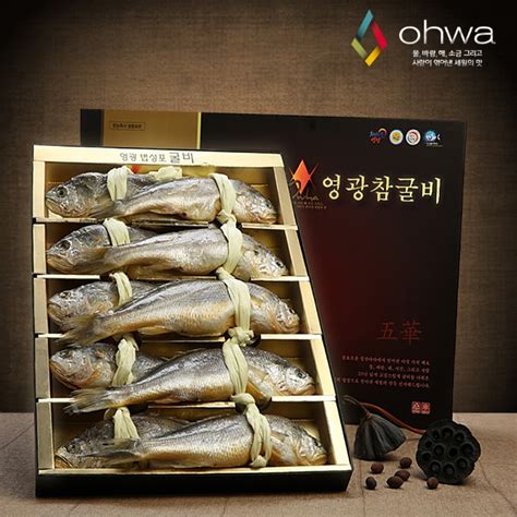 오화 법성포 영광굴비 선물세트 프리미엄 10미11kg 티몬