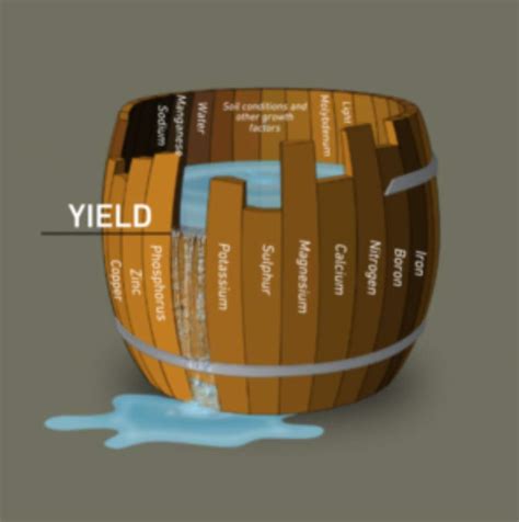 Unlock Higher Crop Yields And ROI With Better Soil Sampling Advanced Agrilytics