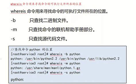 Linux服务器中的命令行界面与选项参数详解 Csdn博客
