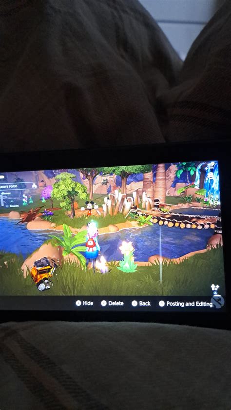 Um Mickey Rdreamlightvalley