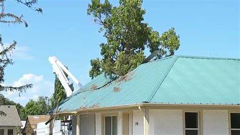 Strong Winds Knock Down Trees In Utah County
