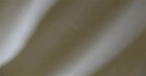 Mushroom Propagation Through Spores In Extreme Detail Stock Video Envato Elements