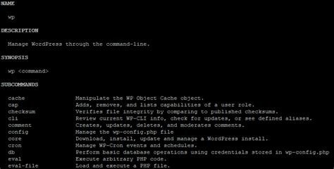 WP CLI Wordpress Administration Bei All Inkl Auf Der Konsole