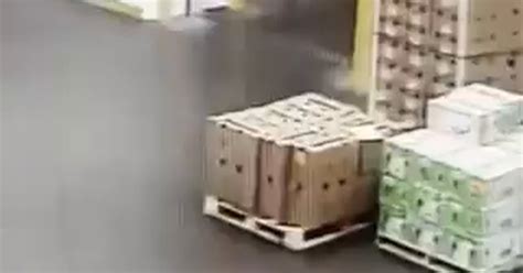 Forklift Certification 9gag