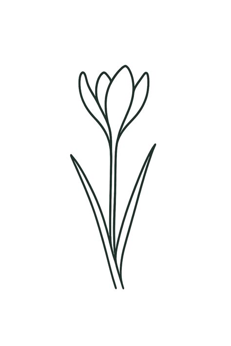 Buy Winter Flowering Crocus 100 In 5 Varieties Bulbs Online Autumn