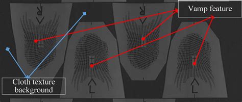 Warp Knitted Vamp Cloth Image Download Scientific Diagram
