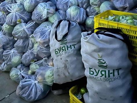 Үер усны гамшигт өртсөн хүүхдүүдэд туслах зорилгоор Дэм дэмэндээ