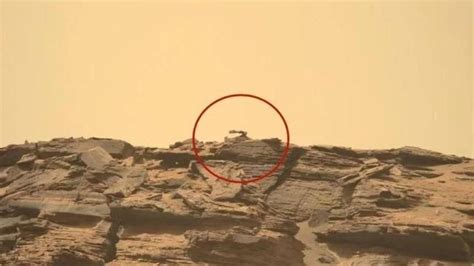 Nasa“毅力號”拍到奇特岩石 專家：火星地下物質適合生命存在 Nasa 毅力號 奇特岩石 火星 地下物質 生命存在