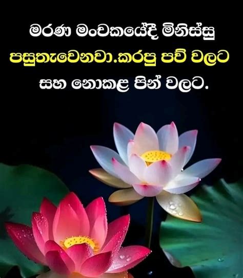 තෙරුවන් සරණයි Pic තඹුත්තේගම සදහම් සෙවණ