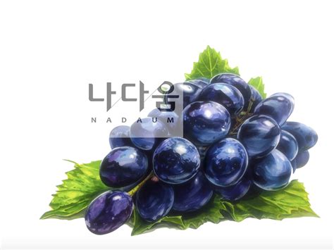 포도송이포도기초디자인포도개체묘사포도그리기입시미술