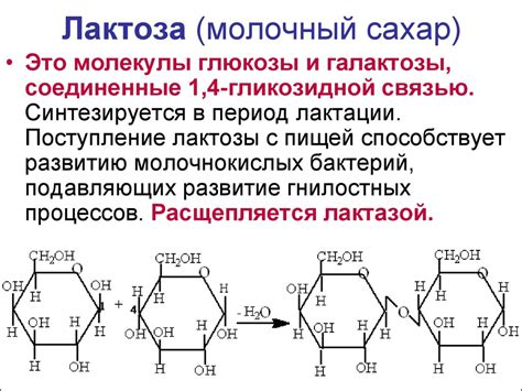 Углеводы: функции и обмен - презентация онлайн