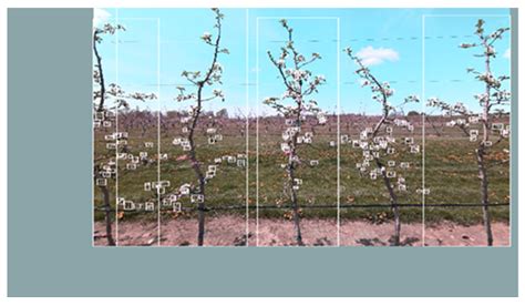 Smart Agriculture A Fruit Flower Cluster Detection Strategy In Apple Orchards Using Machine